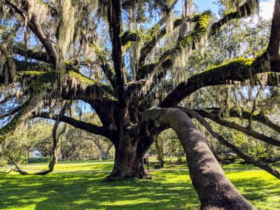 Best free & cheap outdoor adventures in Orlando - Orlando on the Cheap